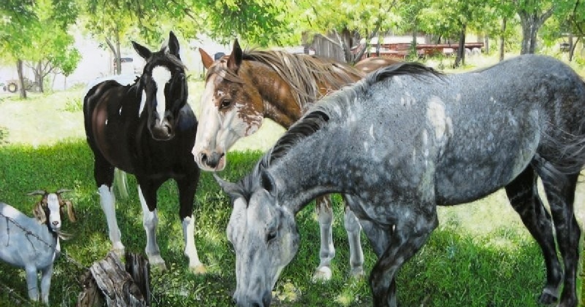 Rutledge Goes From Farm to Market | Artspace111 | Contemporary Texas Art